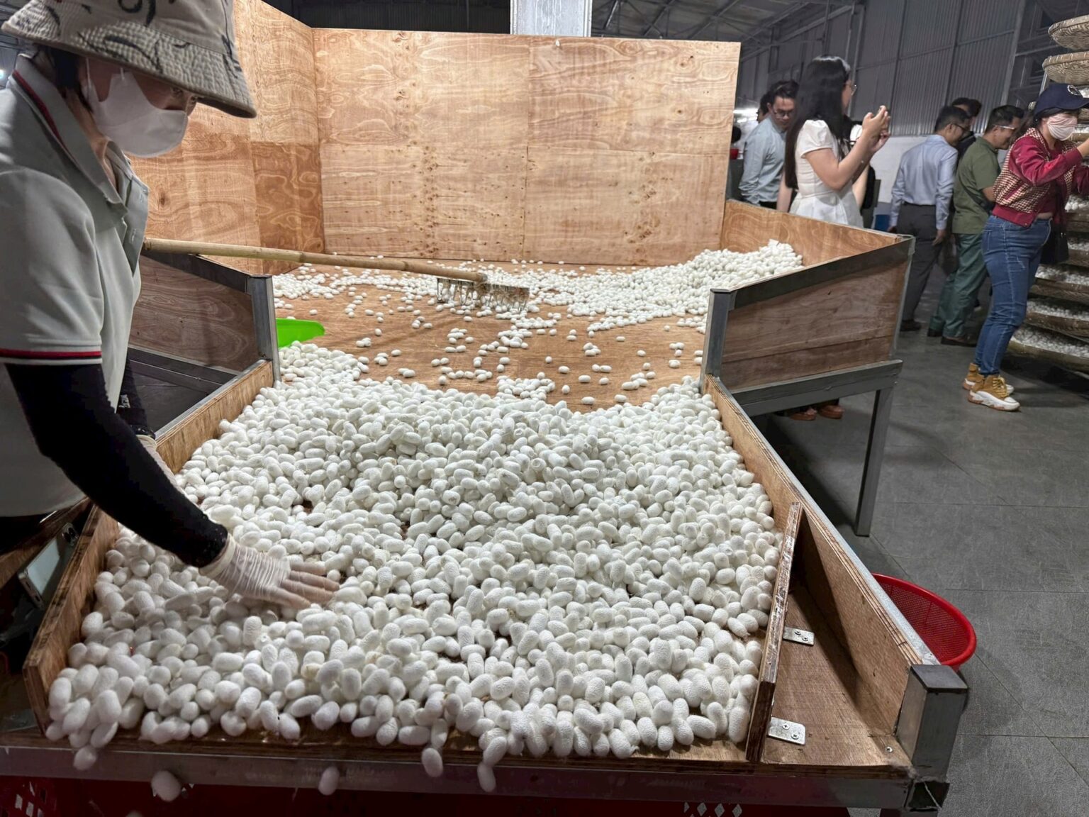 Unveiling the Secrets of Bầu Đức’s Silk Factory: Exporting Premium Silk ...