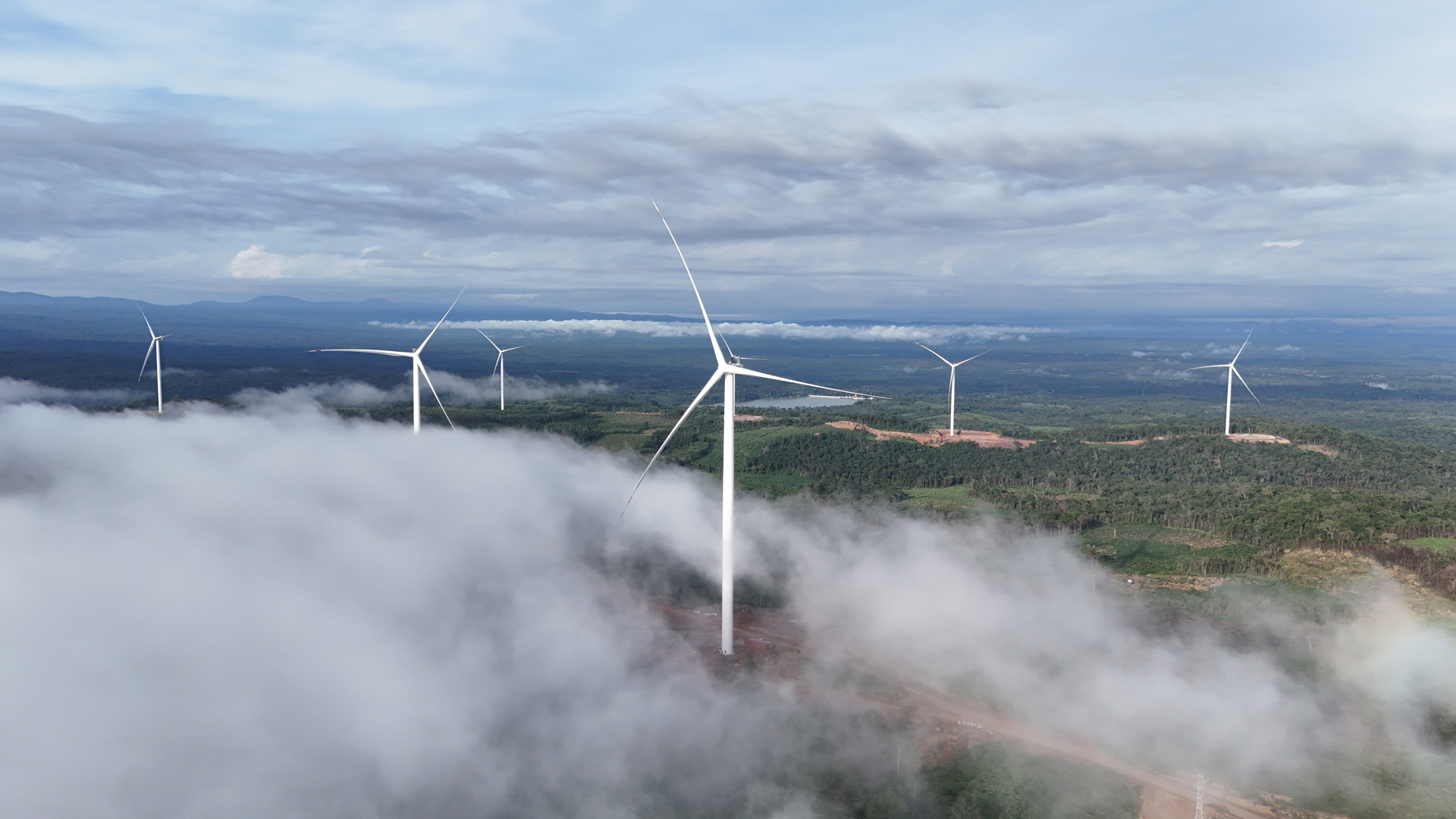 "Green Gold Mine" Across Borders: Bầu Hiển’s Historic Milestone as ...