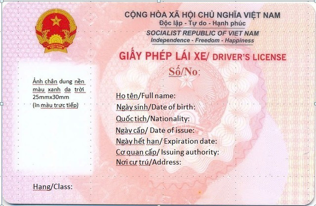 Must You Renew Your New Pink Driver’s License in 2025? - xe.today