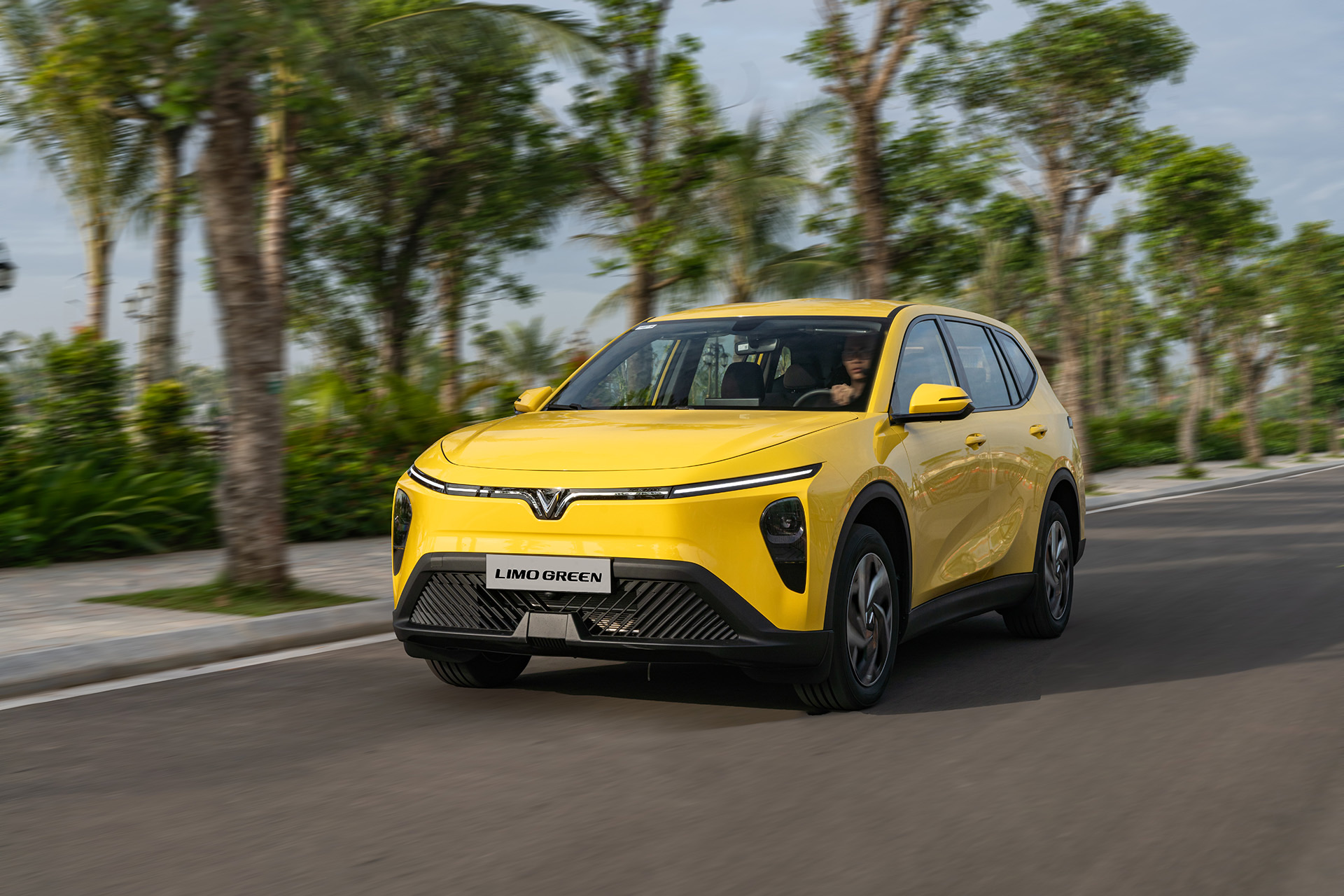 VinFast Limo Green Set to Launch in India Next Year, Targeting High ...