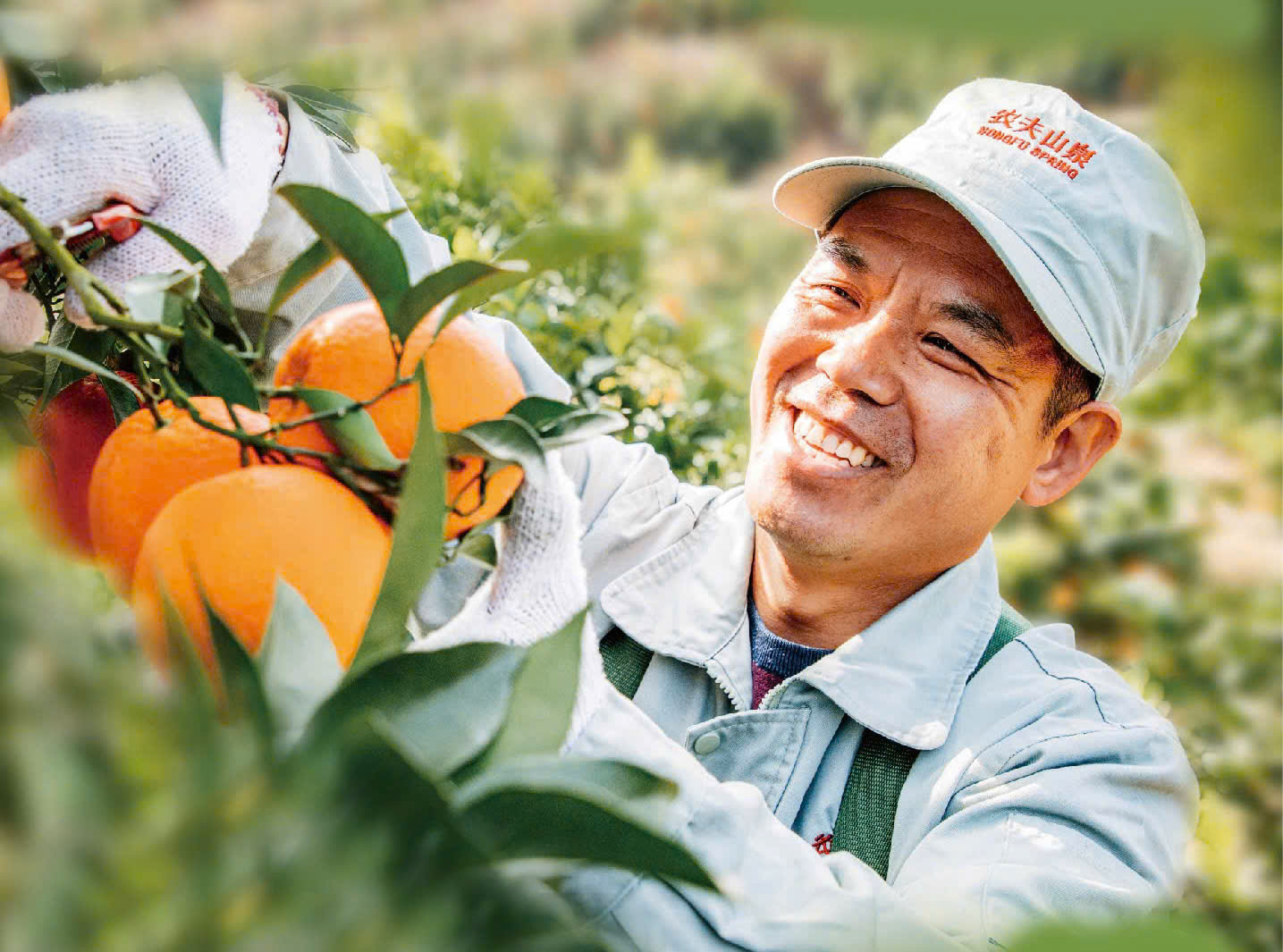 Nongfu Spring’s Iconic 17.5° Orange Juice Set to Launch in Vietnam - xe ...