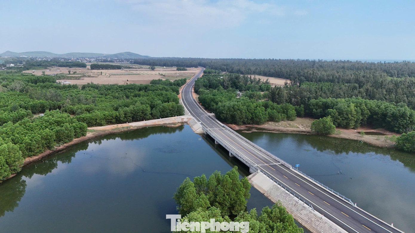 Breathtaking Coastal Drive Through Quảng Ngãi’s Majestic Pine Forests ...