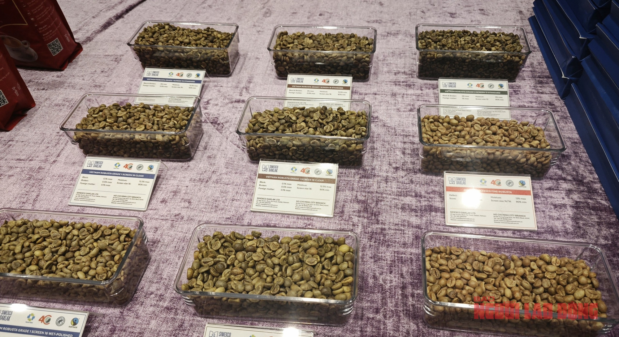 Today’s Coffee Prices (Jan 31): Widespread Decline, Optimistic Export ...