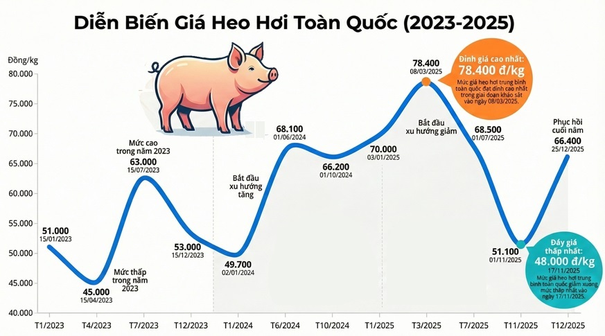 Pig Farming 2025: Which Side of the Chung Cake Holds the Filling? - xe ...