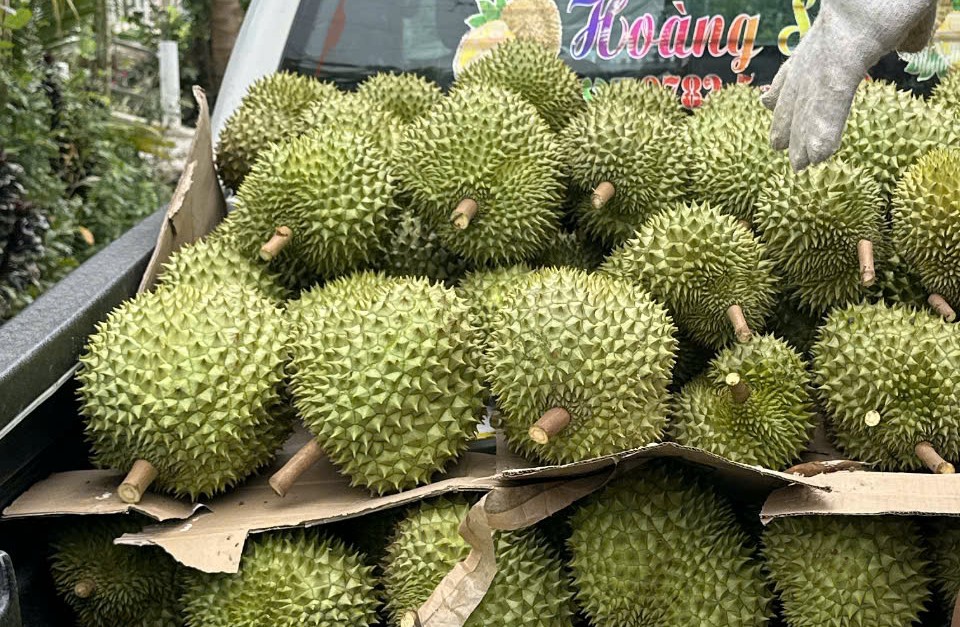 Soaring Durian Prices Kick Off the New Year - xe.today