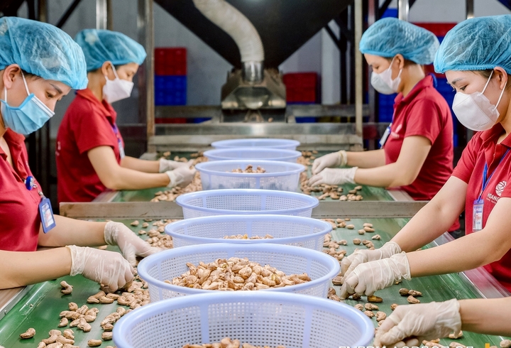 Navigating Middle East Conflict Risks: Export Businesses Brace for ...